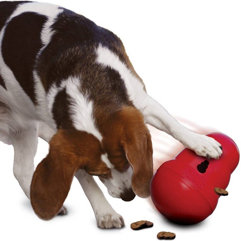 WOOF!The Barky Dog Series: Attention or Demand Barking